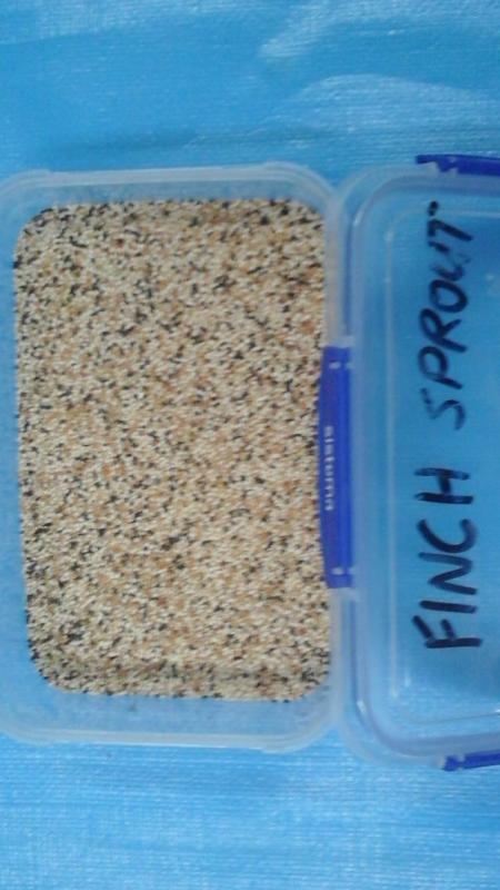 FINCH SOCIETY EXPO 30th November 2025 FTC Attend